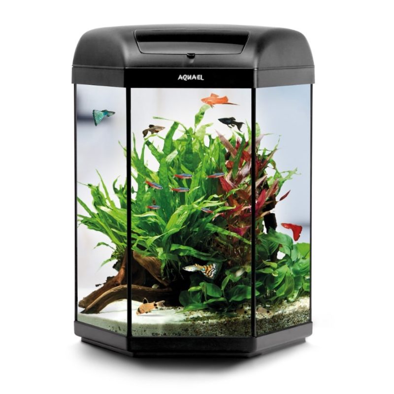 Aquarium Sets – Aqua Premium