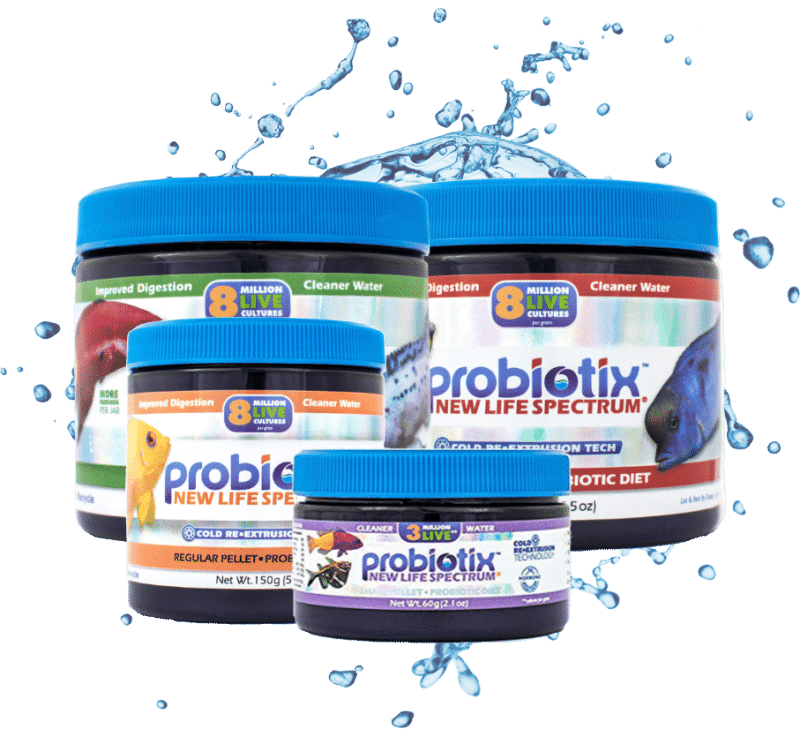 New Life Spectrum Probiotix Large 150g – Aqua Premium