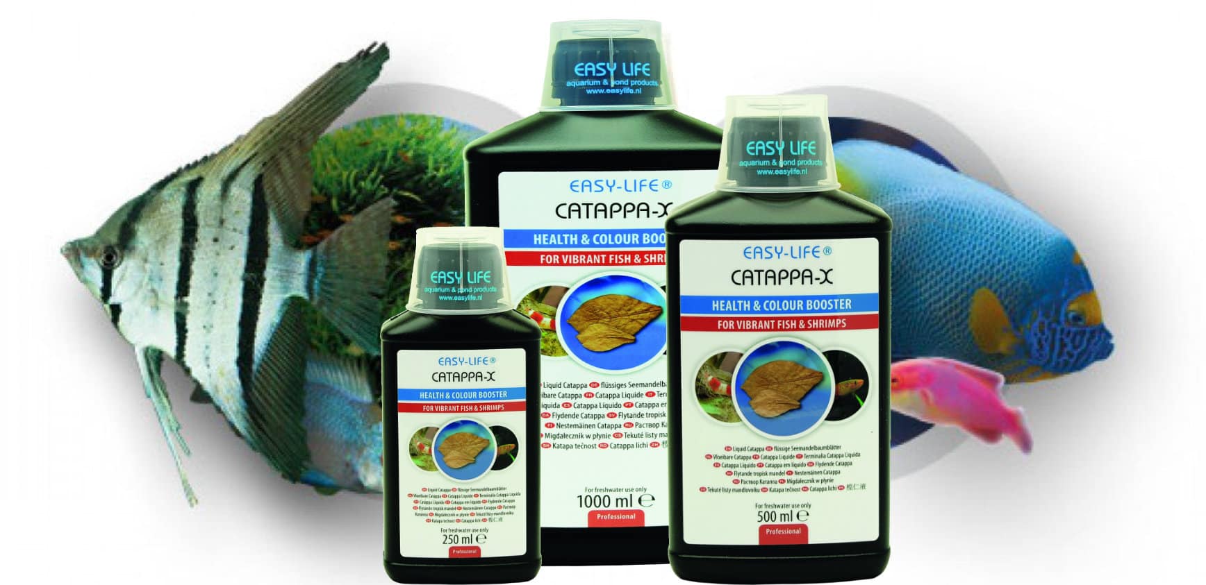 Easy-Life Catappa X (Indian Almond Leaf Extract) 500ml – Aqua Premium