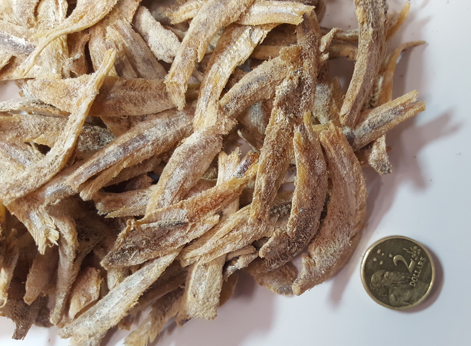 Aqua-Pics Whole Dried Shrimp 15g – Aqua Premium