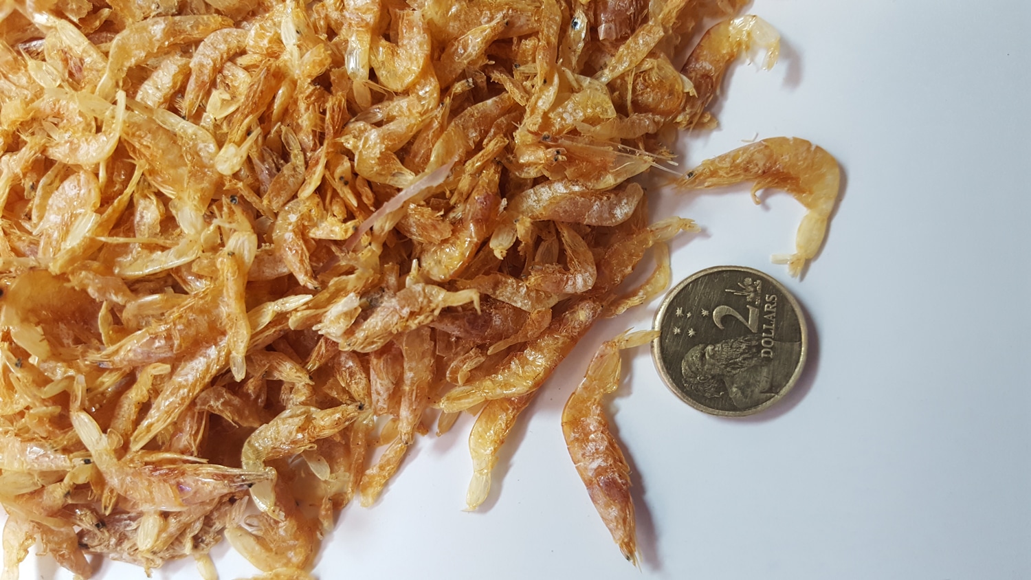 Aqua-Pics Whole Dried Shrimp 15g – Aqua Premium