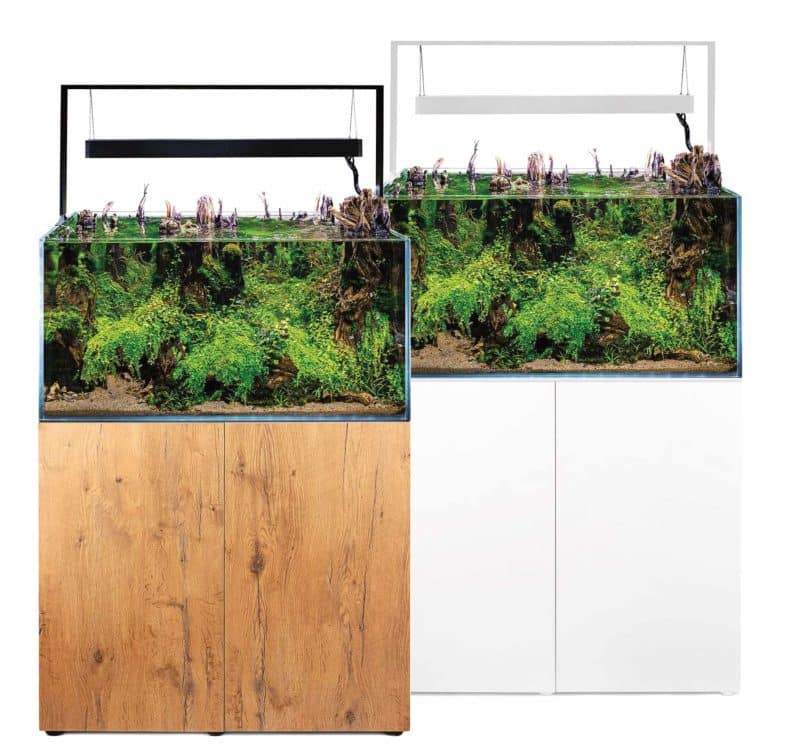 Aquael Ultrascape 60 Forrest Aquarium – Aqua Premium